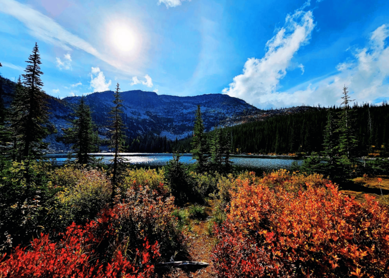 Unlocking Freedom in Nature-Enhancing life with Nature and Art Therapy