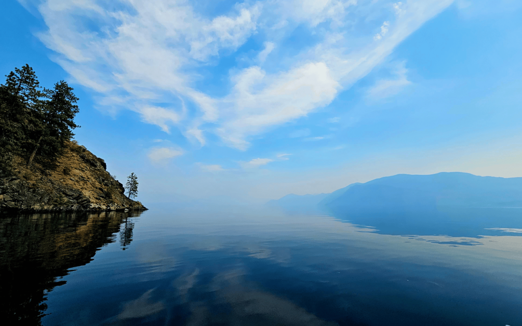 Unlocking Freedom in Nature-Enhancing life with Nature and Art Therapy