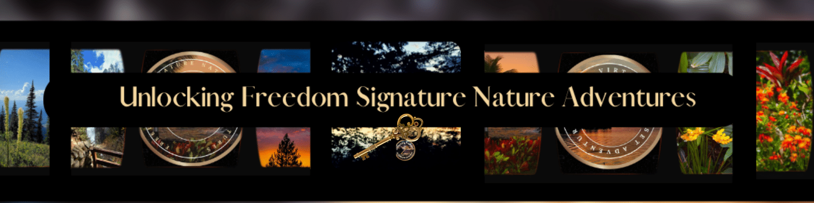 Signature Nature Adventures - Unlocking Freedom in Nature and Art