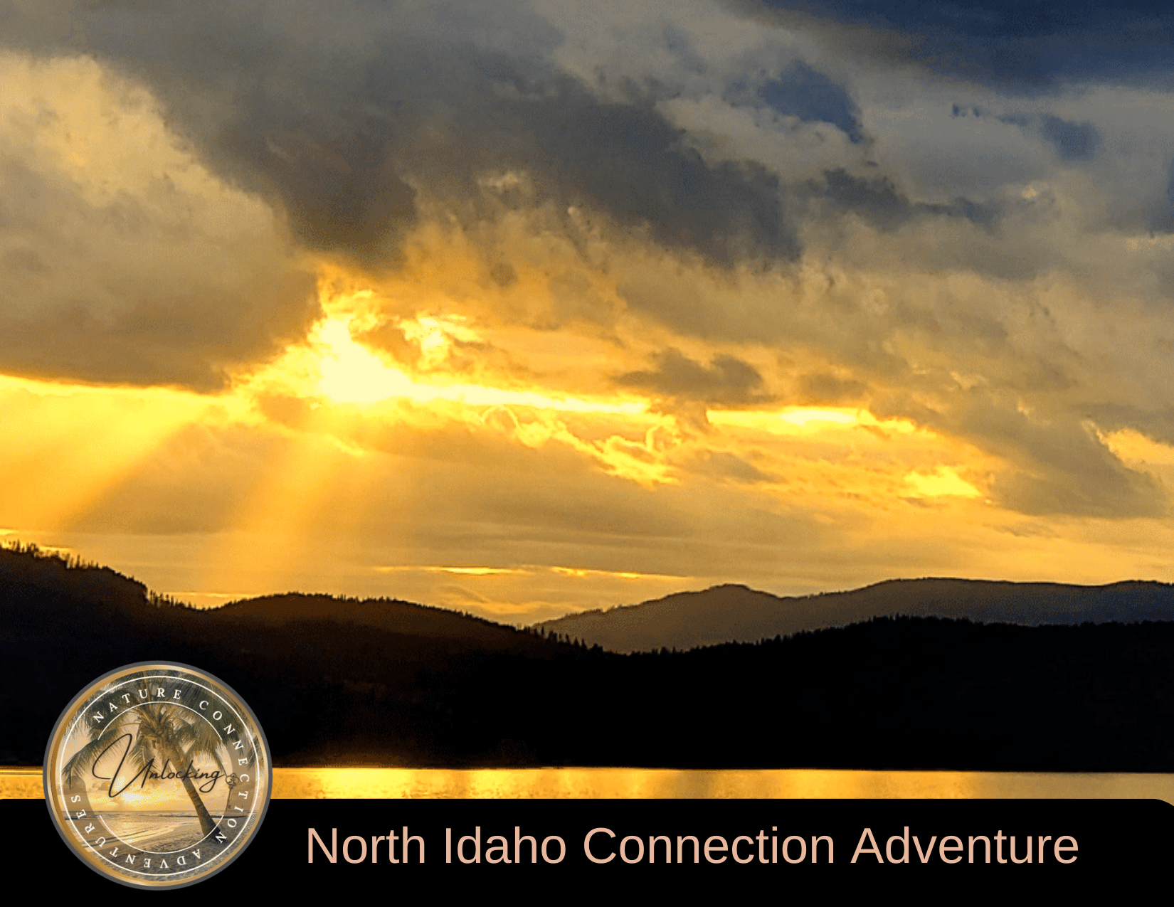 Unlocking Freedom in Nature-Enhancing life with Nature and Art Therapy